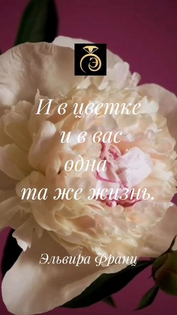 Единство с Жизнью #осознанность