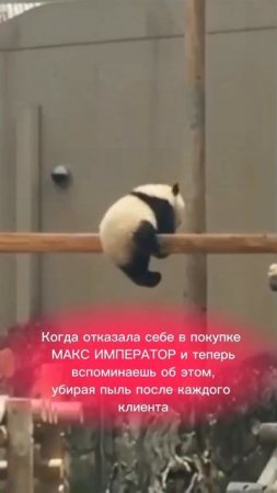 Вытяжка МАКС Император 🔥