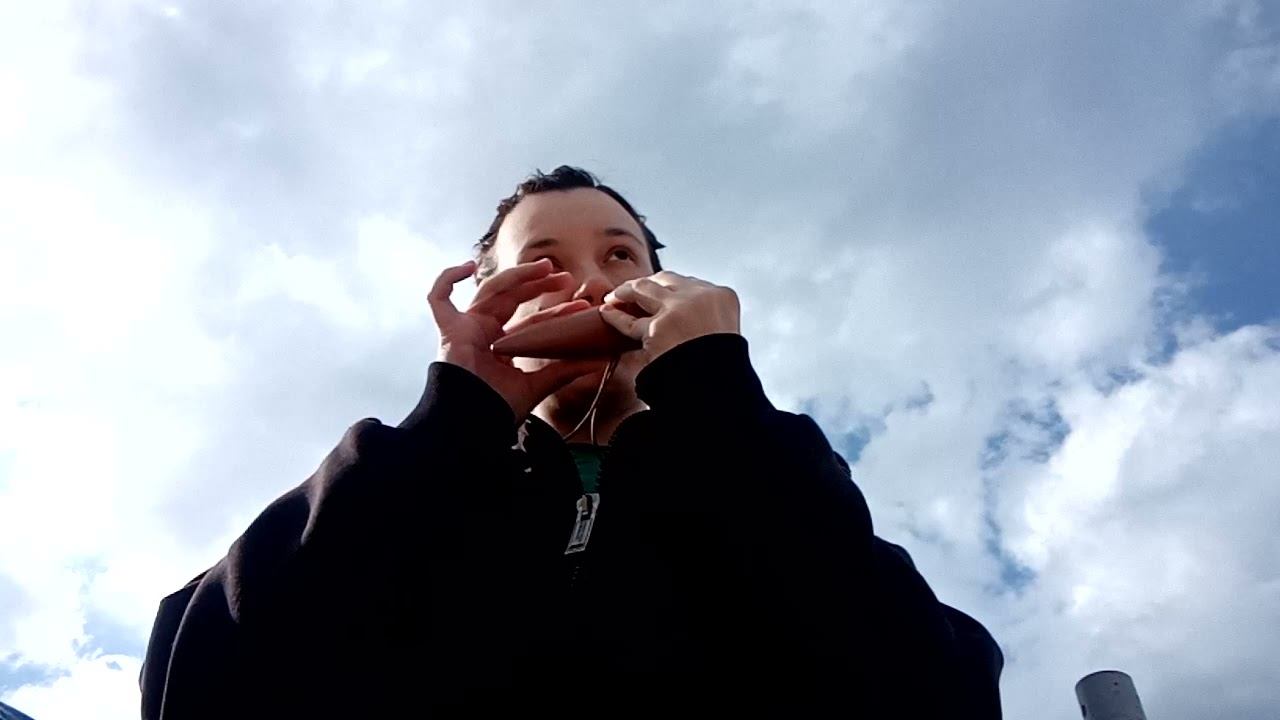 Scarborough fair on ocarina (ICO alto C)