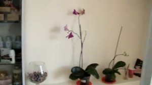 Офис FM Group, г. Николаев, ул. Советская, 13