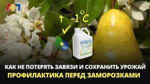 Как не потерять завязи и сохранить урожай плодовых. Профилактическая обработка перед заморозками