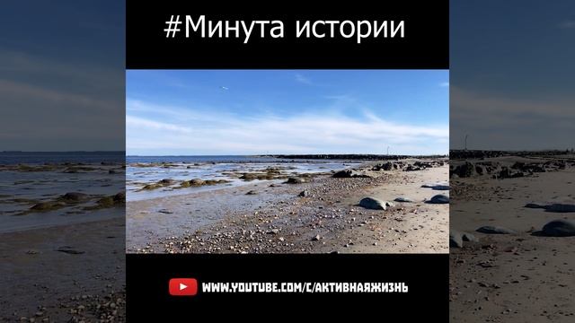 Поморье #shorts