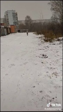 бедная девушка ну Фик с ней лайк ставь лучше😘