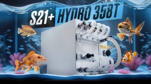 S21+ Hydro 395Th/s: сколько Bitcoin реально майнит и ПОЧЕМУ потребляет на 35% больше электричества!