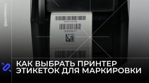Как выбрать принтер этикеток для маркировки Честный знак: гид по выбору и топовые модели