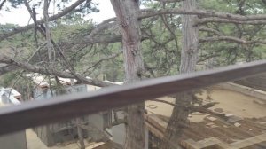 video_2025-04-22_17-30-32