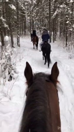Езда верхом 🐎