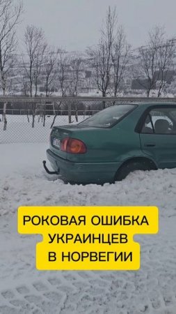 ГЛАВНАЯ ОШИБКА УКРАИНЦЕВ В НОРВЕГИИ !