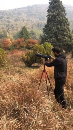 FILMING WILDLIFE IN BEAUTIFUL AUTUMN COLOUR #photography