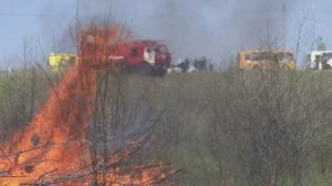 В Курской области прошла штабная тренировка по ликвидации лесных пожаров