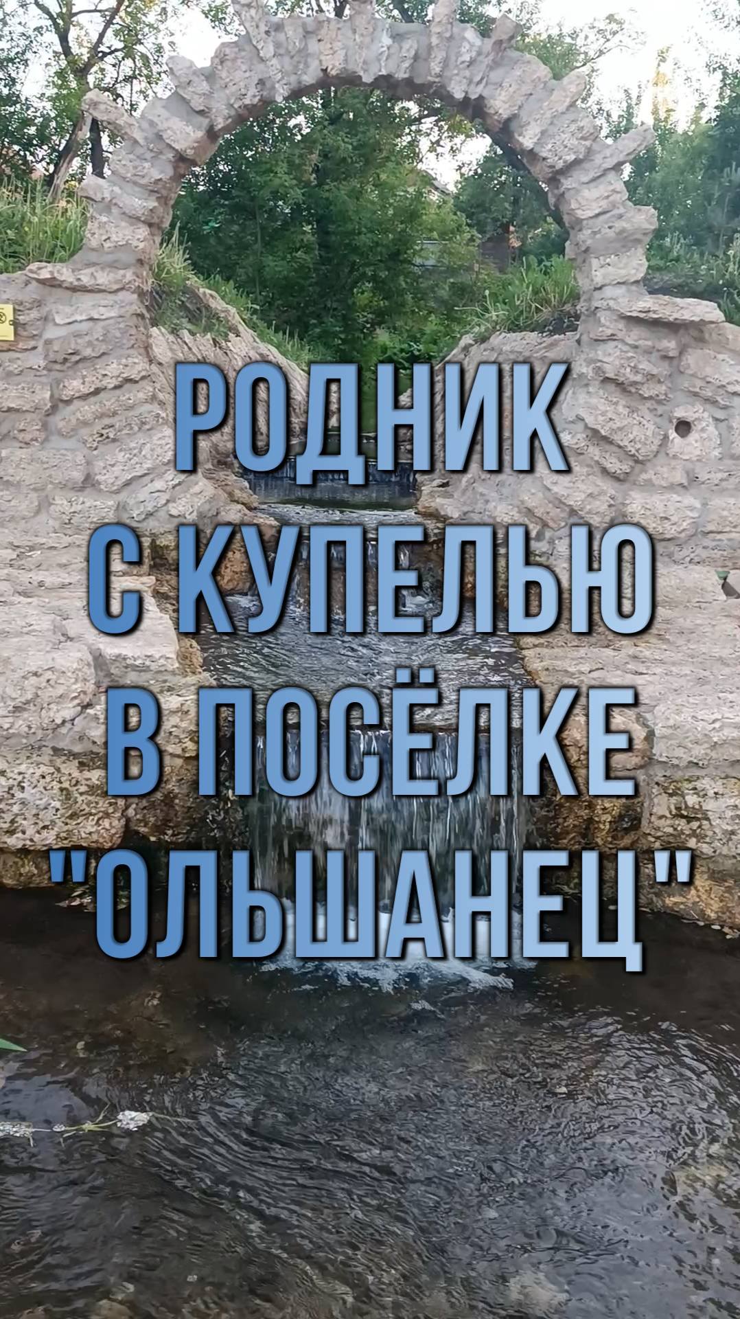 Родник Ольшанец 1