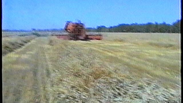 Уборка урожая Хлебороб 2001г
