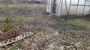 Нужно принять тяжёлое решение по продаже дома. Уборка во дворе. Ремонтные работы.