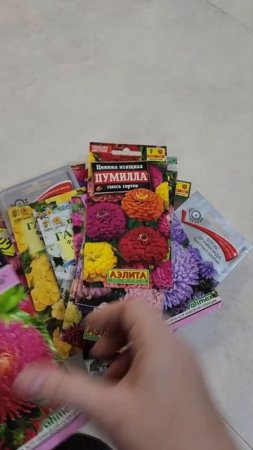 МУЖ СКАЗАЛ ПОСАДИ ЦВЕТОЧКИ #сад  #садогород  #цветы  #влоги  #покупки  #семена