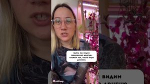 🎥«Студия сновидений»