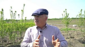 В КФХ "Орусханова" применяются лучшие наработки ведущих питомниководческих хозяйств страны.