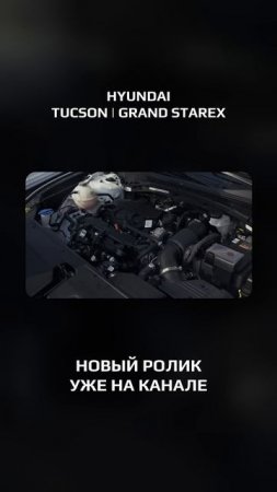 Привоз авто из Кореи стал еще выгоднее! Смотри новый обзор от ЮнионАвто #авто #автоизкореи