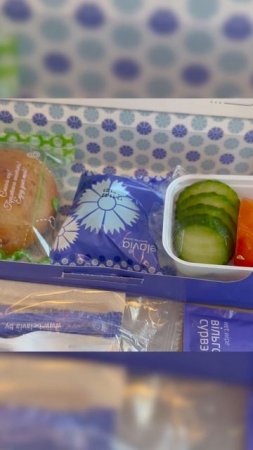 Питание на рейсе Belavia Минск - Стамбул #shorts