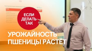 Схемы увеличения урожайности пшеницы в Сибири: удобрения, техника, ошибки | Сергий Ризанов