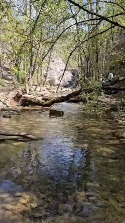 Крым Река Бага