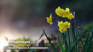 Быстрое снятие напряжения и стресса