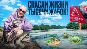 Спасли жизни тысячи жабок!