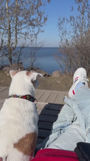 15 весна маленького пёсика ❤️