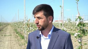 Сад в селе Садовое Хасавюртовского района
