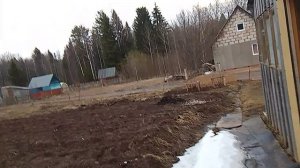 Пролила кусты кипятком. Устала я от этой потаскушной работы и собралась домой.