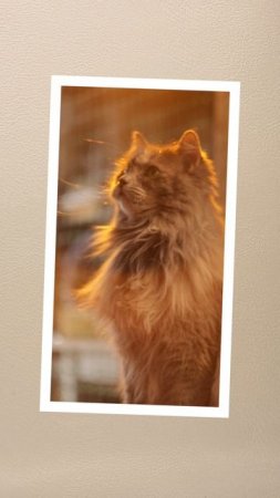 Я никогда не получаюсь плохо на фотографиях😻