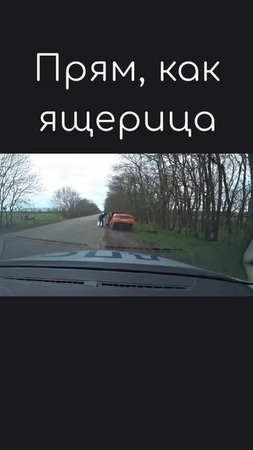 Прям, как ящерица.
