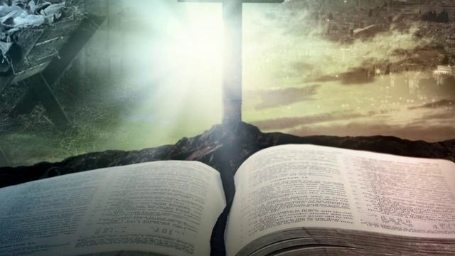 Беседы на Книгу Бытия (протоиерей Олег Стеняев, часть 6)