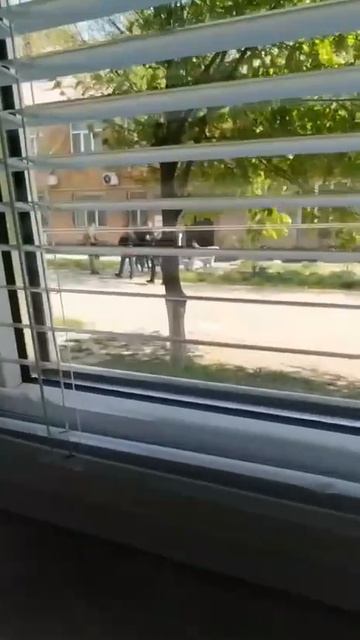 ТЦК. 15 человек на одного !