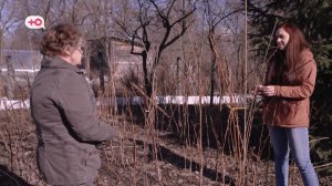 "Ты со своим "шансом" можешь не приезжать"