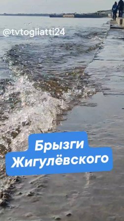 Клип @tvtogliatti24