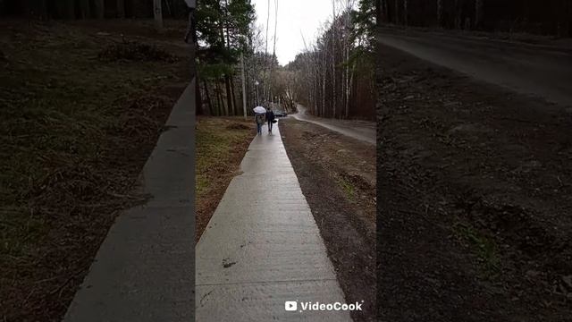 весенний дождь