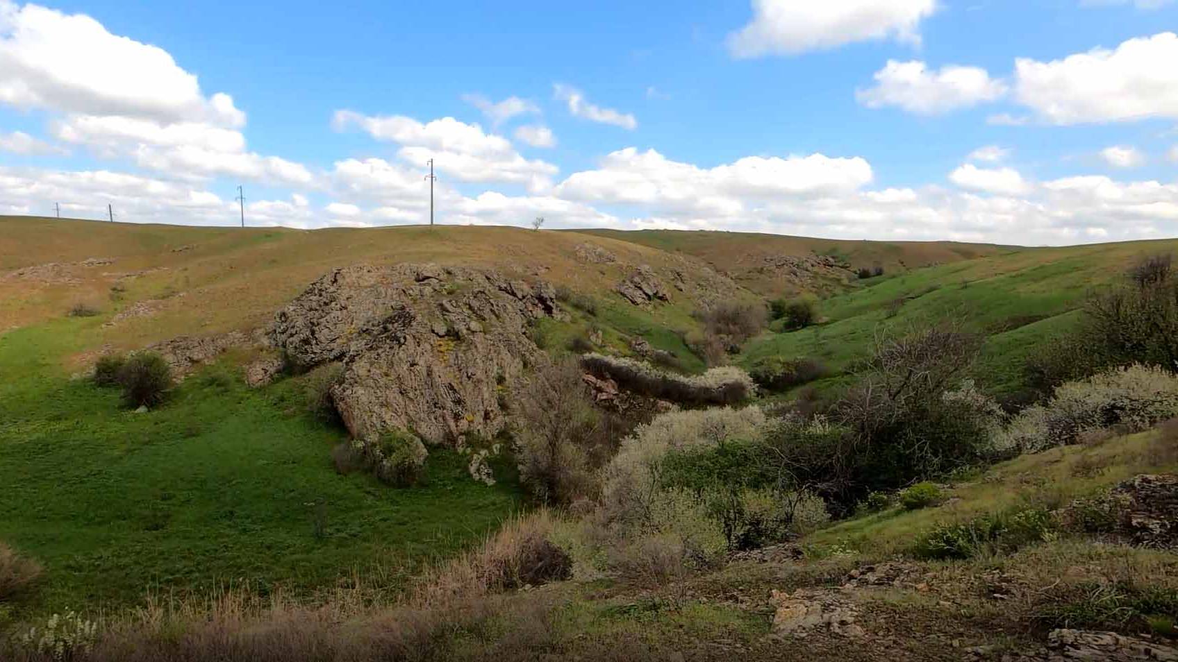 Природный заказник "Староласпинский". ДНР