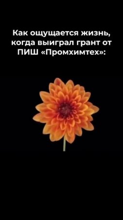 Передовая инженерная школа «Промхимтех» КНИТУ объявила о старте студенческих ГРАНТОВ