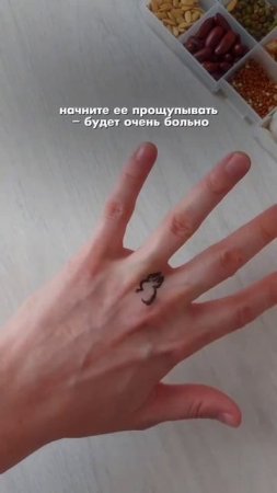 23 апреля 2025 г.