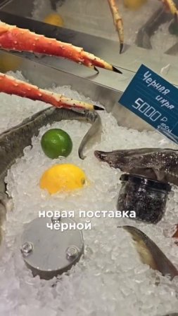 Цены на морские деликатесы в Рони Ойстер #геленджик #геленджик2024 #ресторан #отдыхнаморе