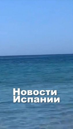 Ура! ВНЖ в Испании больше не отбирают! Акулы на Коста Бланке и другие новости в Испании #shorts