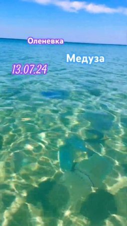 #медузы #крым #море #travel #оленевка