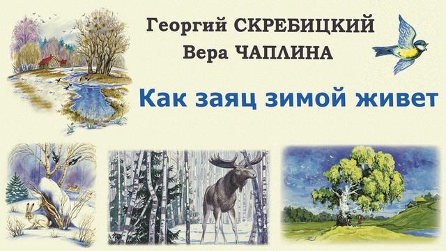 «Как заяц зимой живет» Г. Скребицкий и В. Чаплина - Слушать