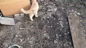 У нас снег опять. Немного уборочки