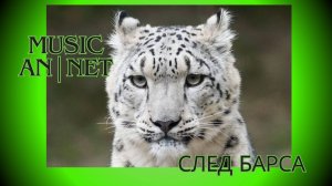 Music AN|NET. Клип - Затерянный след барса (ч.II)
