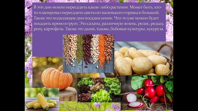 Благоприятные дня для посадки растений май 2025 года