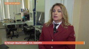 Клещи выходят на охоту: как уберечься от укусов