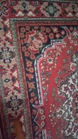 VID_20250424_231353