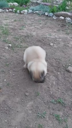 Ну теперь держись вся моя рассада )