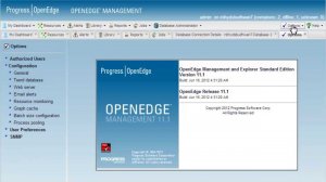 Консоль OpenEdge Management - краткий обзор интерфейса